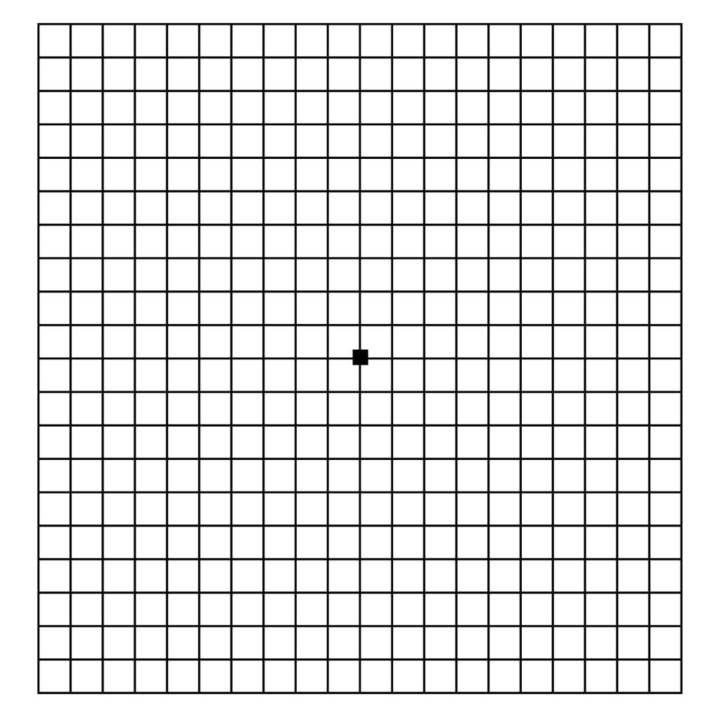 Amsler Grid Test